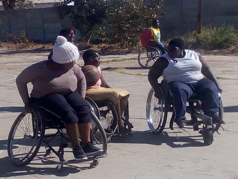 Federation of Organizations of Disabled People in Zimbabwe (FODPZ ...